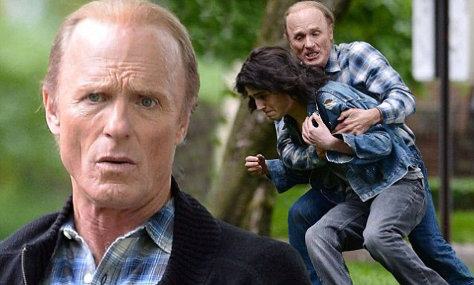 Does actor Ed Harris Have Cancer? + Biography and Pictures - Human ...